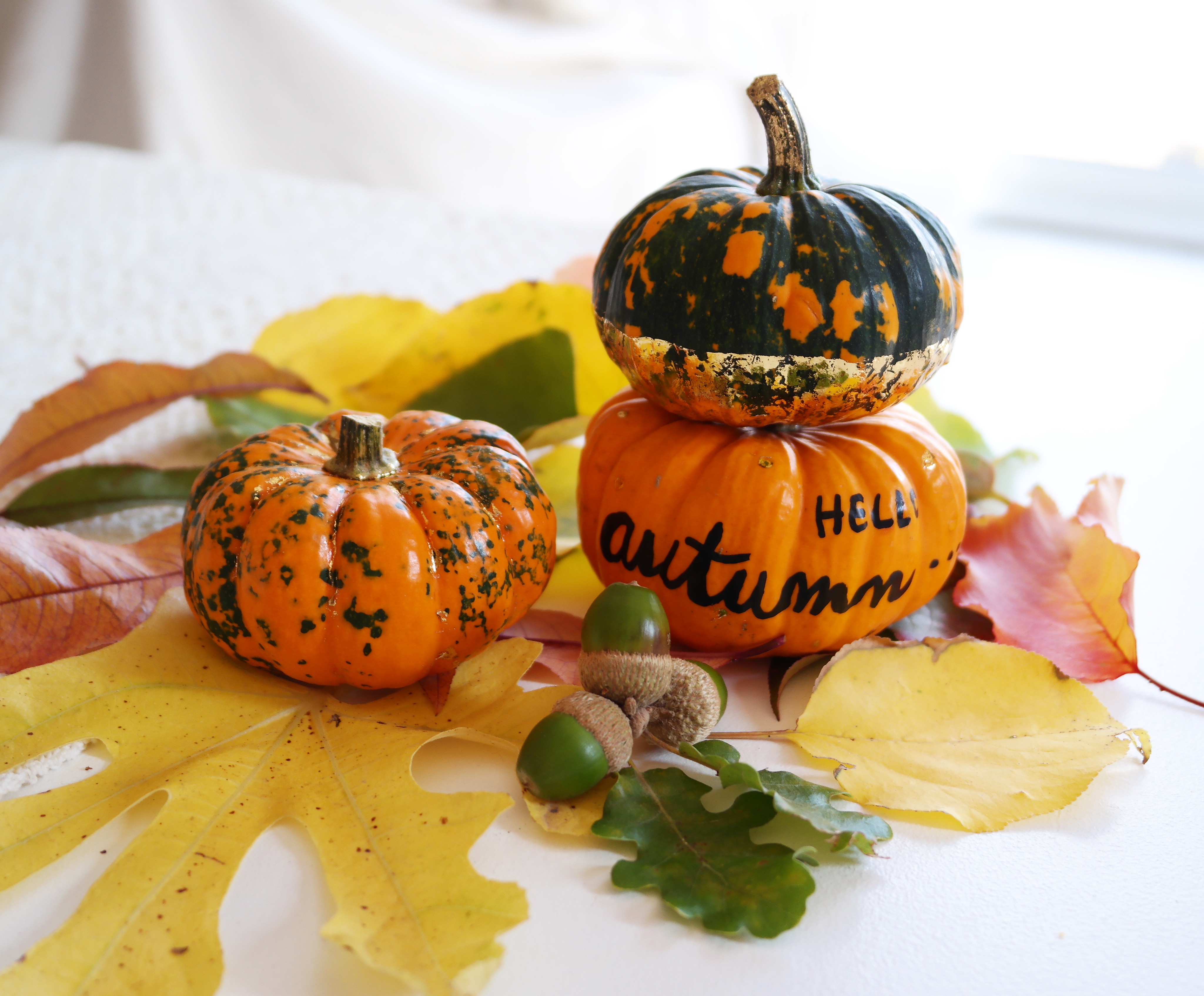 DIY - MES PETITES CITROUILLES DECORATIVES - Stacey Stachetti